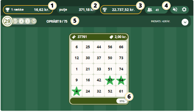Sådan spiller du Bingo | Spillets forløb | Danske Spil Bingo